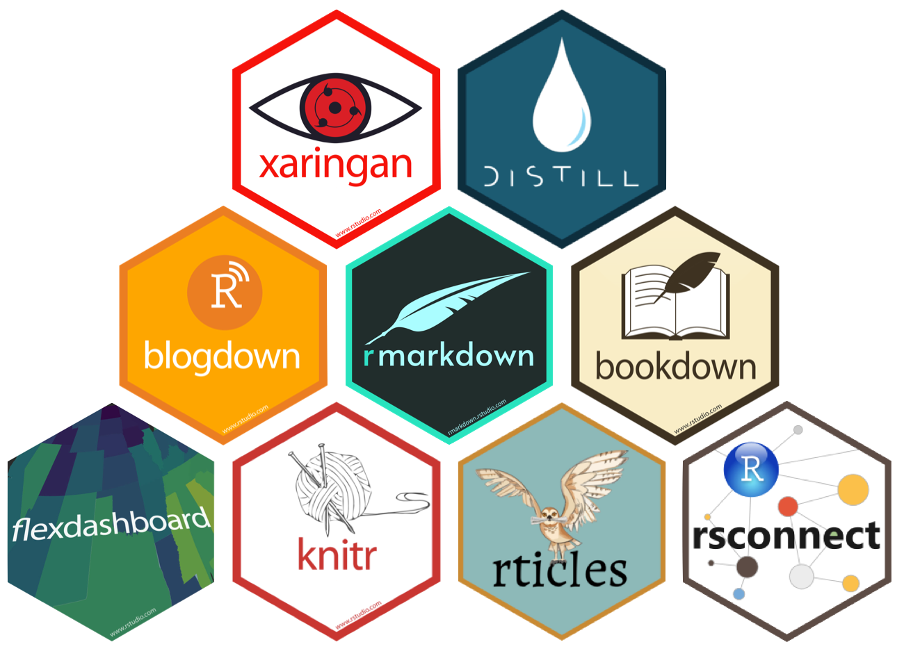 Parameterized Reporting with Quarto: R-Ladies DC - Parameterized ...
